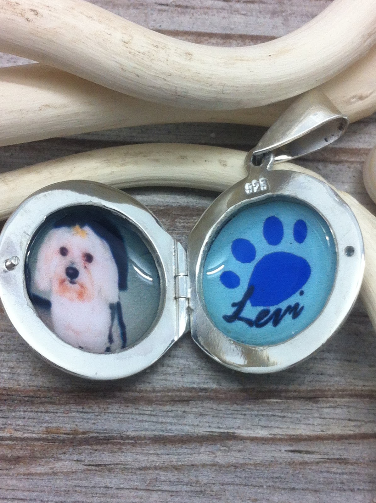 Sue-Ella Signature Designs: Pets