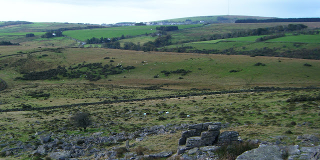 My Dartmoor Walks: Tuesday 18th October Higher White Tor