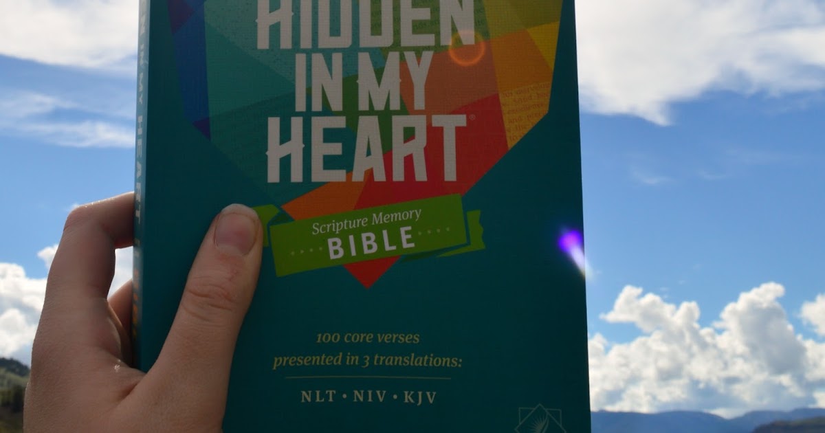 The Godly Photographer: Book Review: Hidden In My Heart Scripture ...