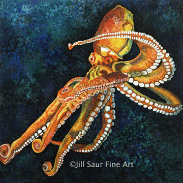 ORIGINAL PAINTINGS BY JILL SAUR: The Giant Pacific Octopus