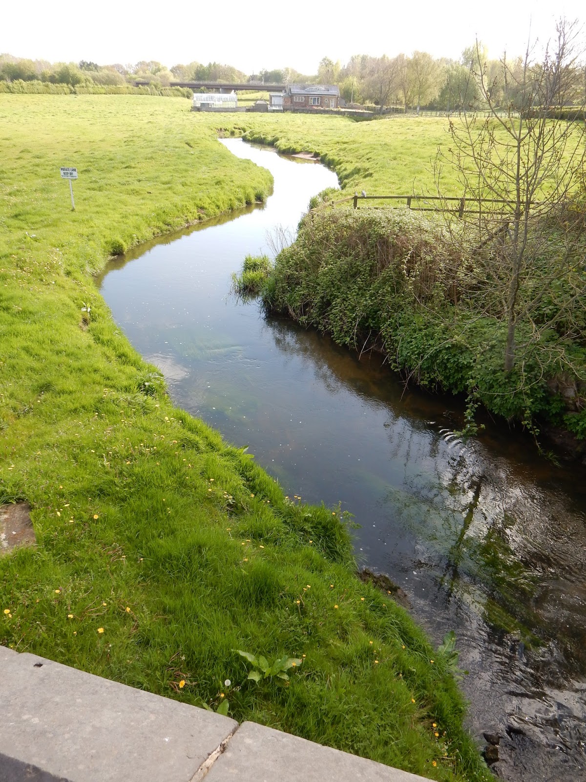 NB Holderness: Onwards and Upwards.