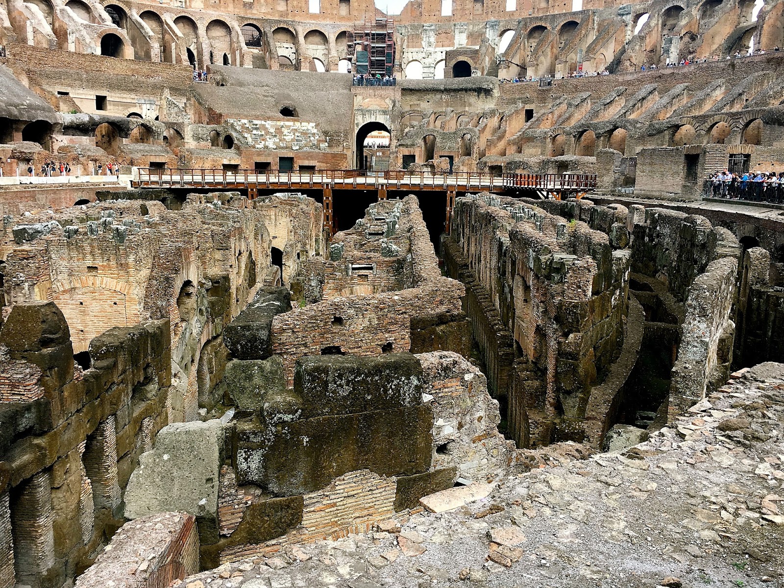 Facciamo un giro in centro?: COLOSSEO