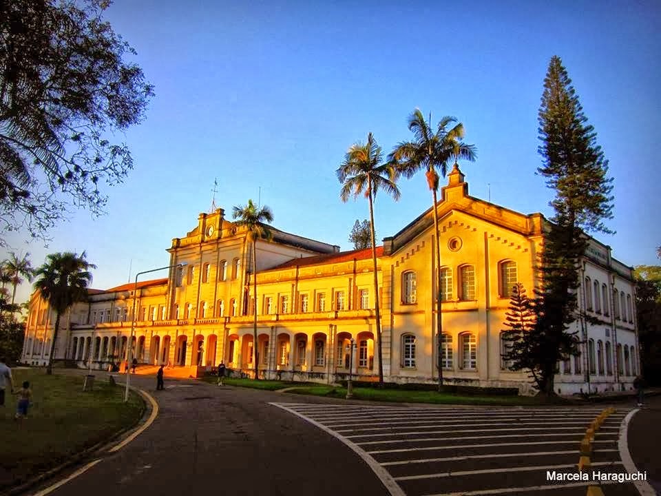 GUIA TURÍSTICO PIRACICABA: ESALQ - 5º LUGAR NO MUNDO