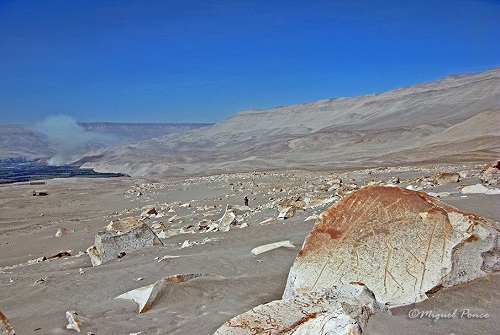 Complejo Petroglifico Toro Muerto en Camana