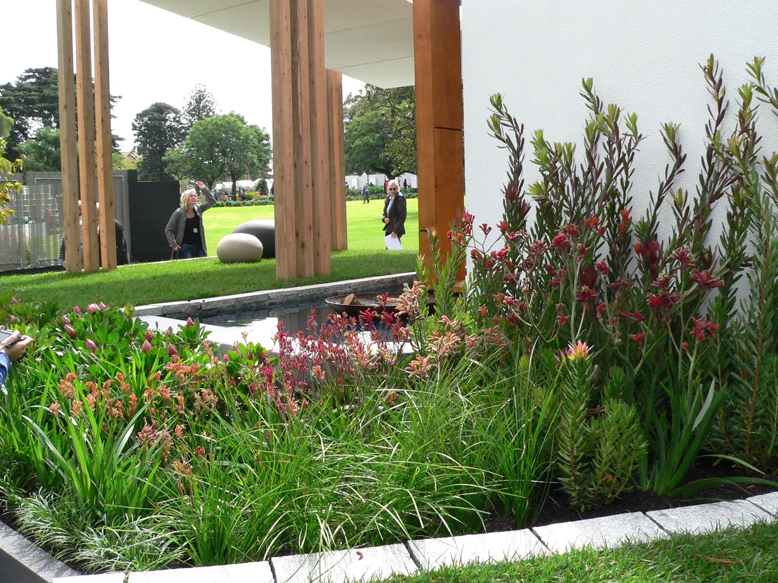 Aggregata Plants & Gardens: Melbourne International Flower & Garden ...