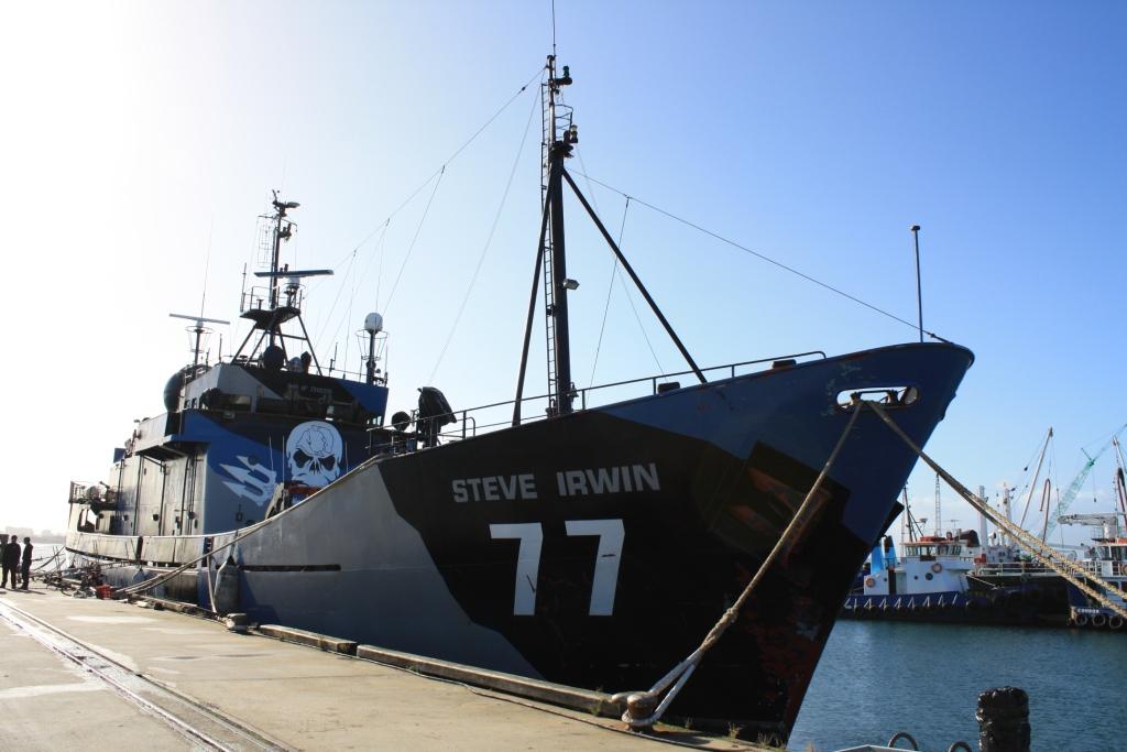 Every Bed of Roses: The Sea Shepherd