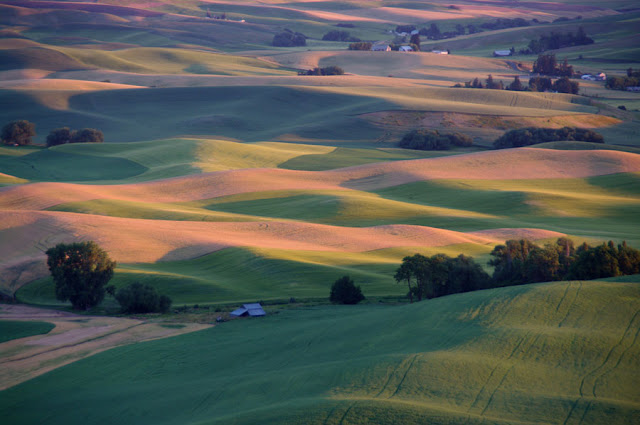 Ross Walker photography: Steptoe Butte, Washington