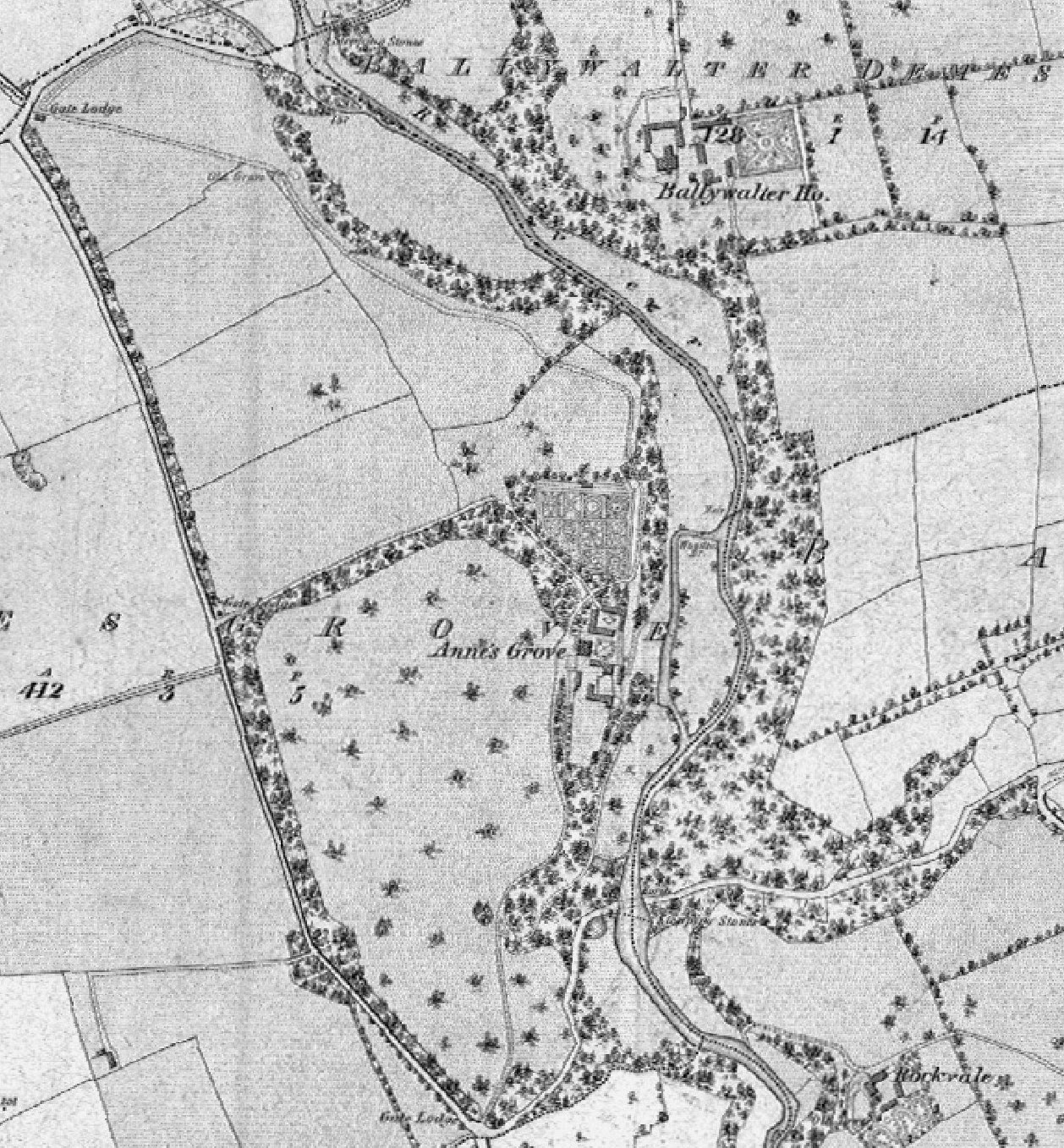 Landed families of Britain and Ireland: (148) Grove Annesley of Annes Grove