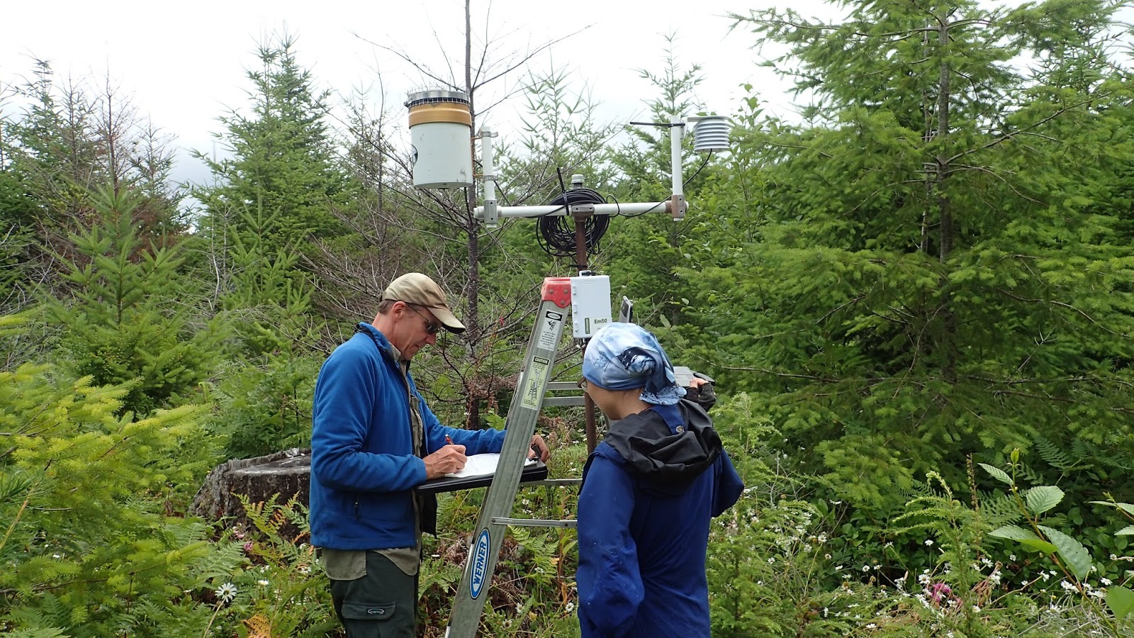 World Forestry Center - International Fellowship Program Blog: The ...