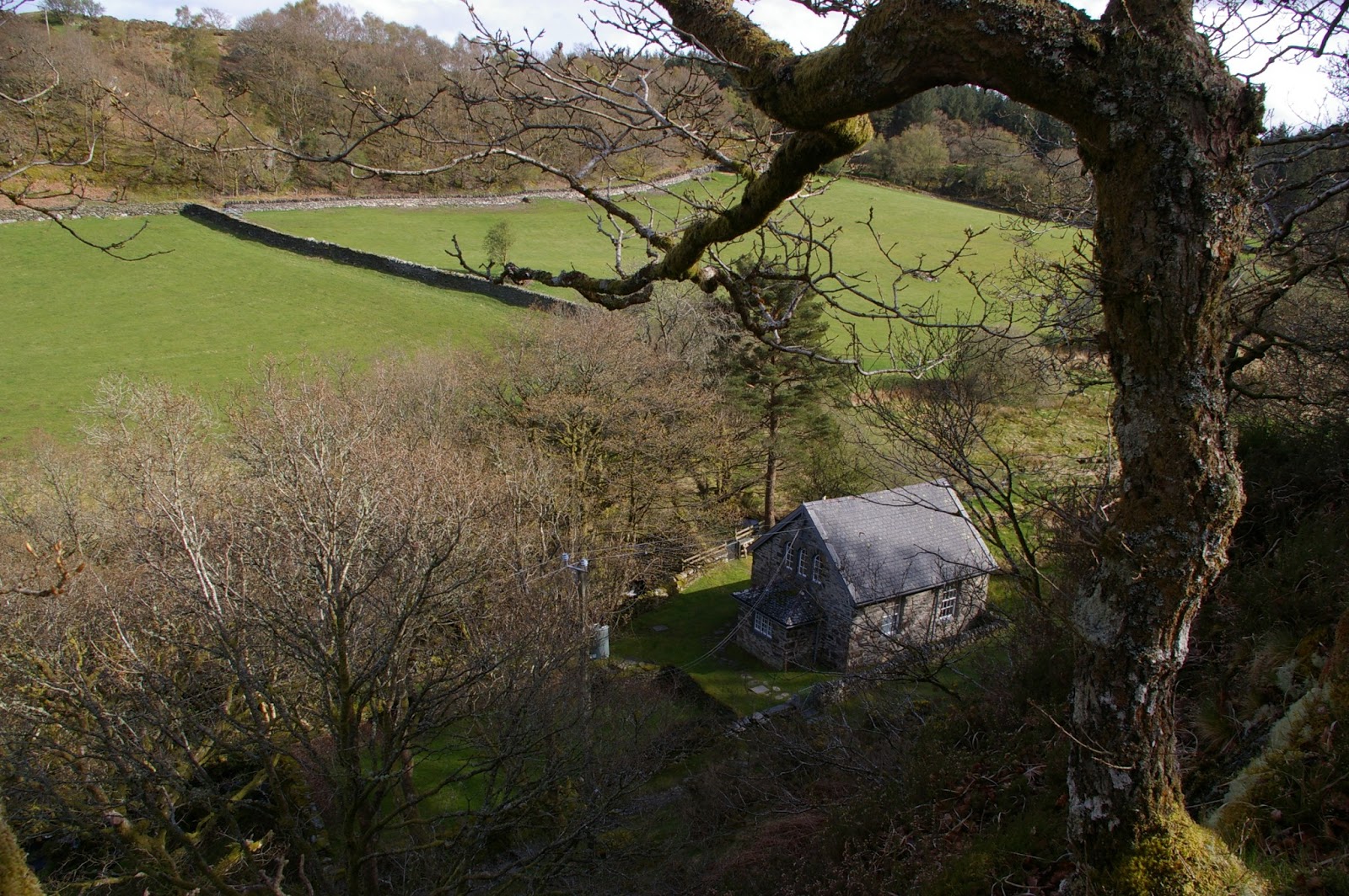 Blueberry Curls: Holiday at Ty Capel