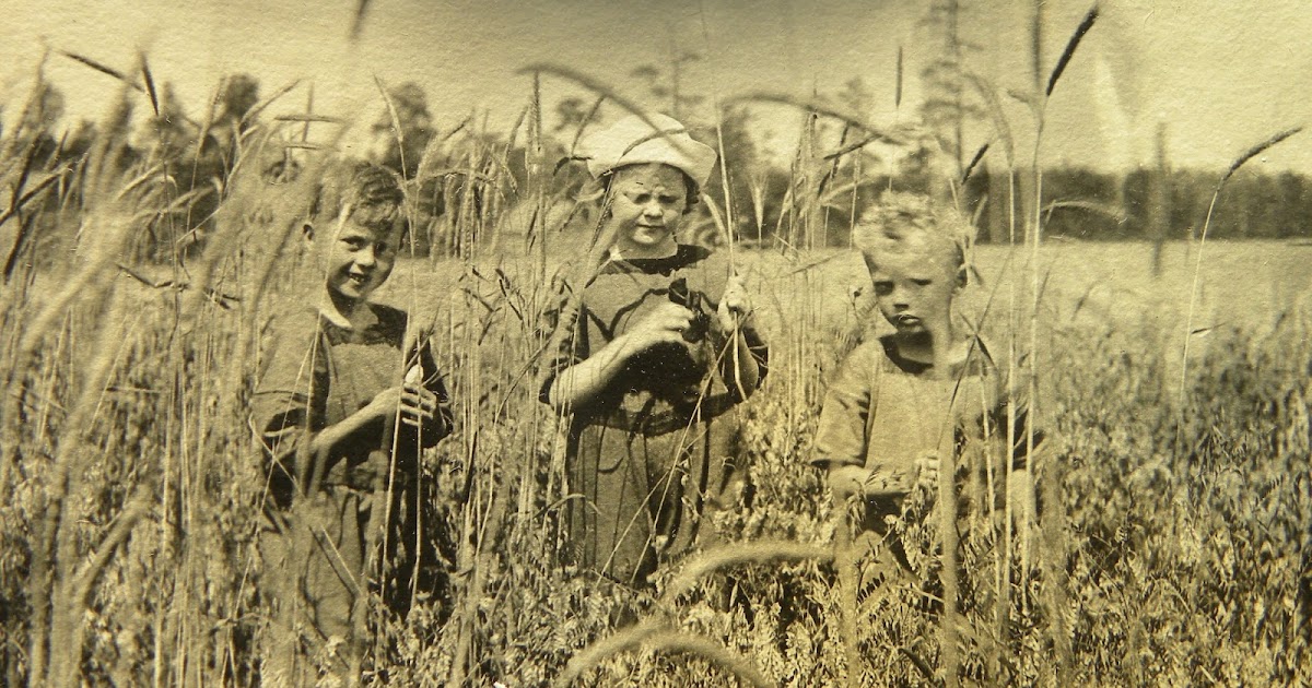 Me. Here. Right Now.: Ripley: The Tale of Amelie Welles Pumpelly, Part 1