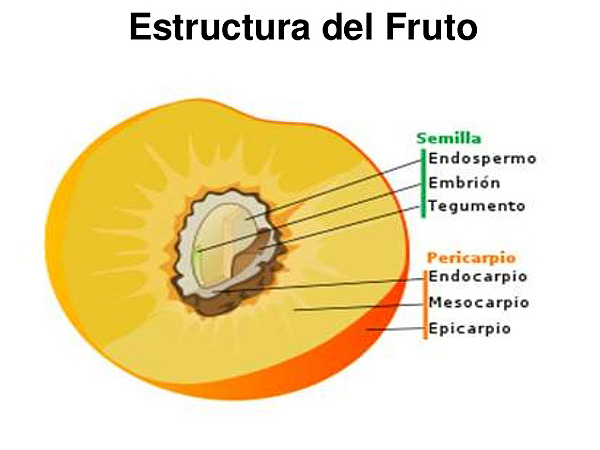INFORMACIÓN DE CAMBOYA: octubre 2015
