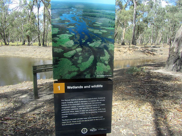 TRACKS, TRAILS AND COASTS NEAR MELBOURNE : Barmah National Park ...