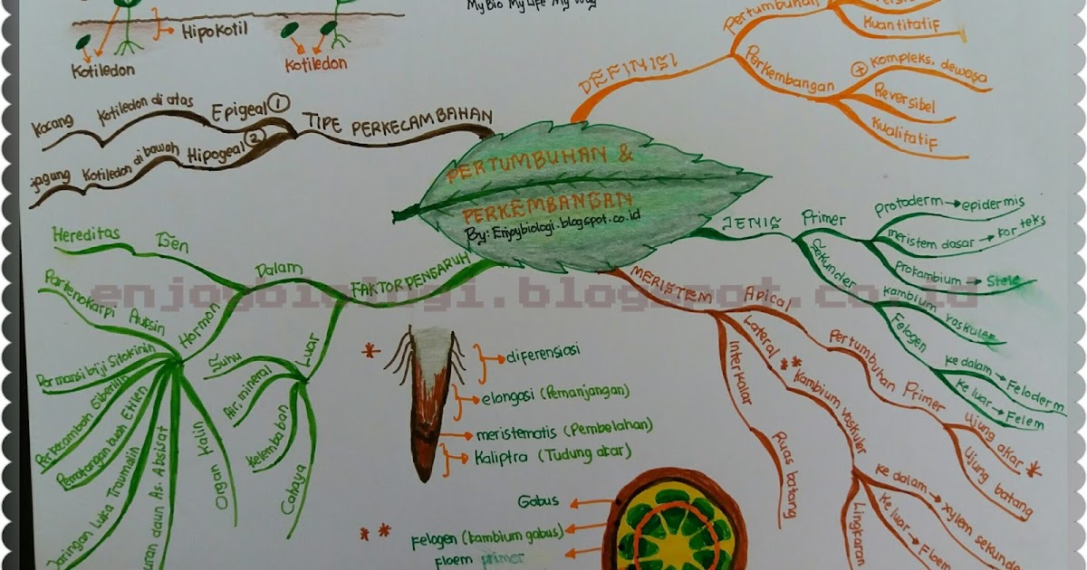 My Bio My Life My Way: Mind Map : Materi Biologi Pertumbuhan dan ...