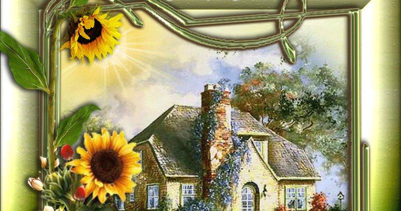 kvetka11: Týden plný slunce