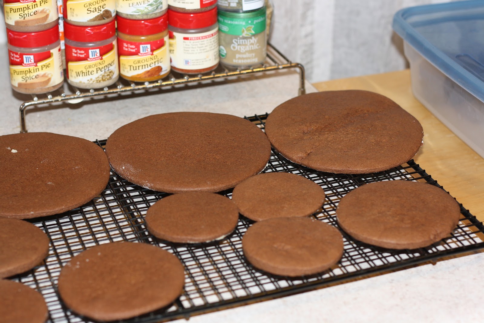 You Want Me to Cook?: Wilton’s Chocolate Roll-Out Cookies