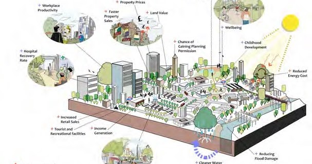 AEJeco: Infraestructura verde y corredores ecológicos en México DF