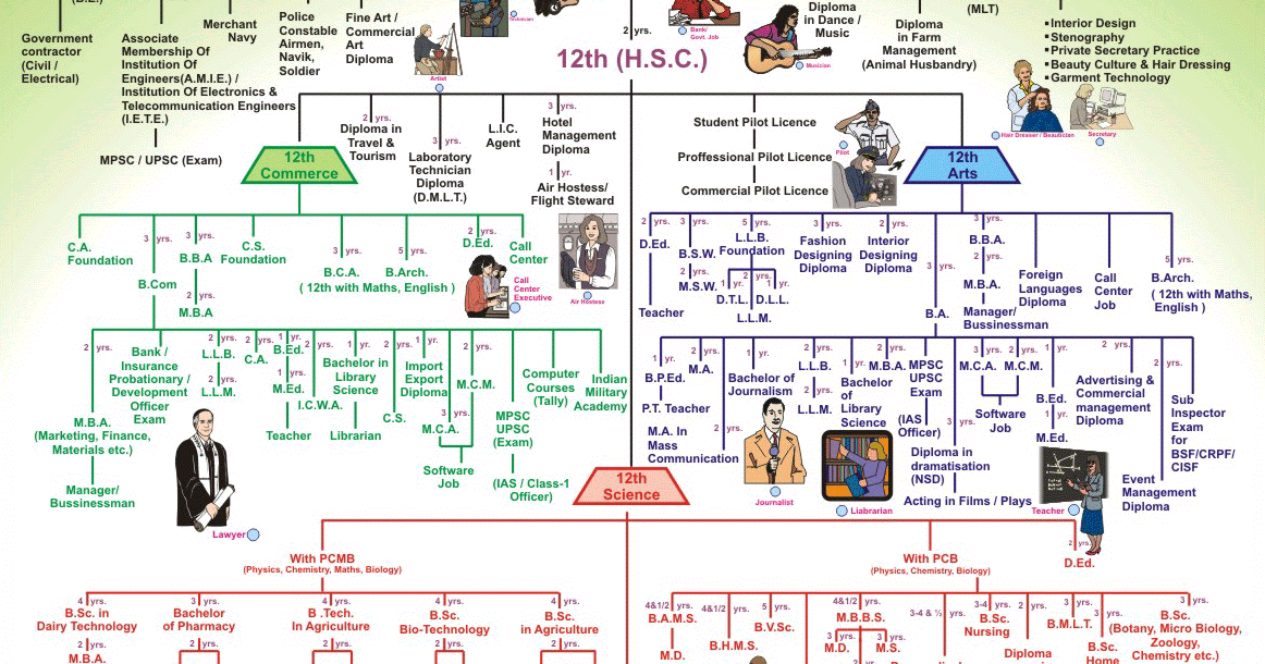 Knowledge: Career Opportunities Flowchart