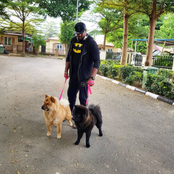 Actor Mofe Duncan Shows Off His Chow Chow Dogs (Pictures)