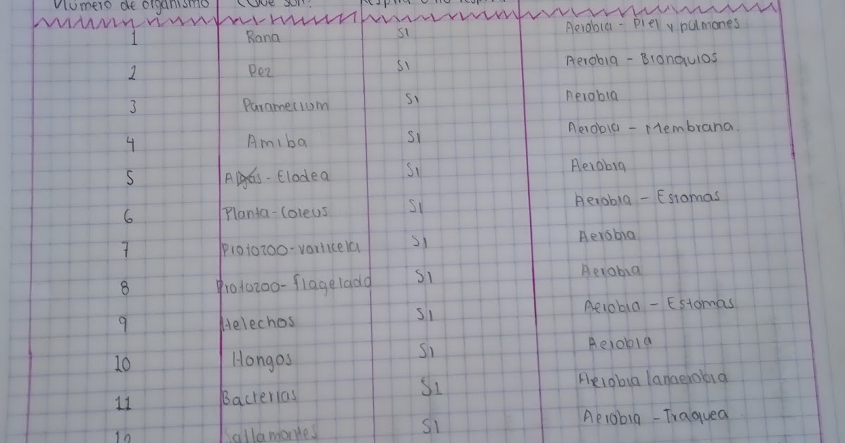 Bitácoras- Biología IV: Bitácora 2 -Ideas previas sobre la respiración