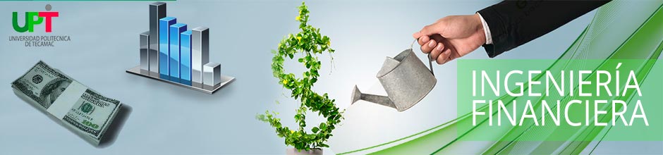 Ingenieria Financiera: Objetivos y Caracteristicas