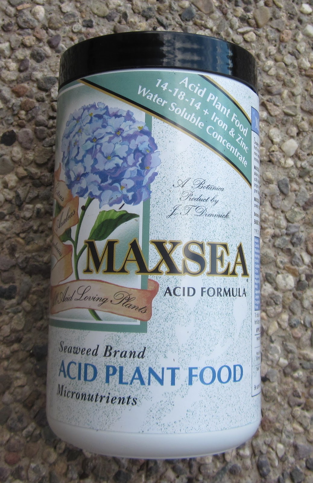 The Burrow: Pre-Wedding Tune Up - Garden Edition