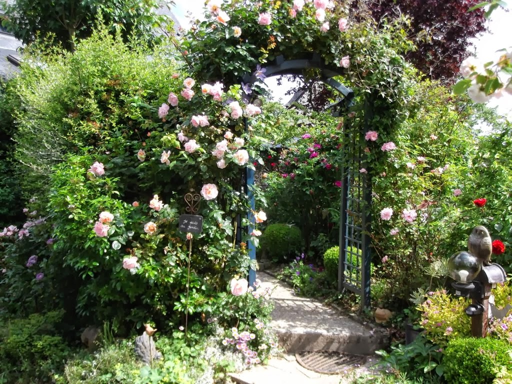 Les Piqués de la Rose: Une Piquée... Un Jardin