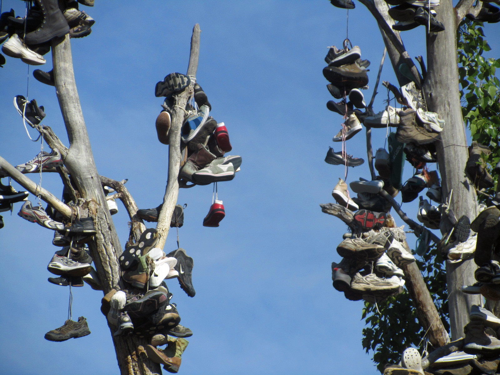 The travels of Ed, Carol and Gopher the dog.: 5/13/12 - 5/20/12