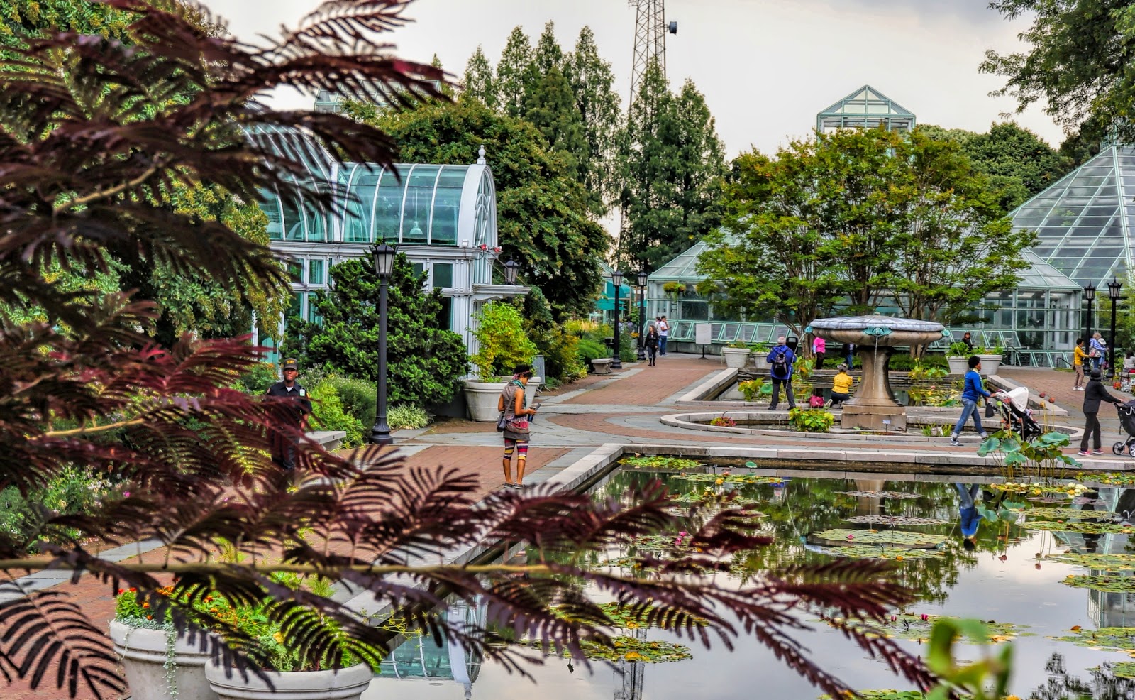 Joe Doakes' New York: Under glass