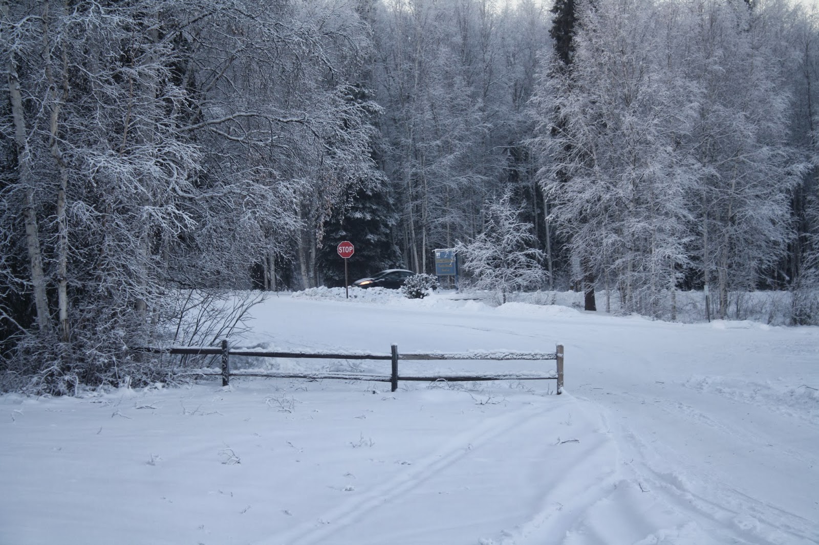 UAF Trails and Greenways: Winter Walk