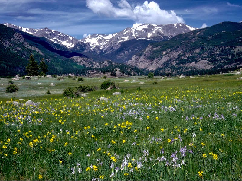 Critter Sitter's Blog: Views of Springtime in the Rocky Mountains