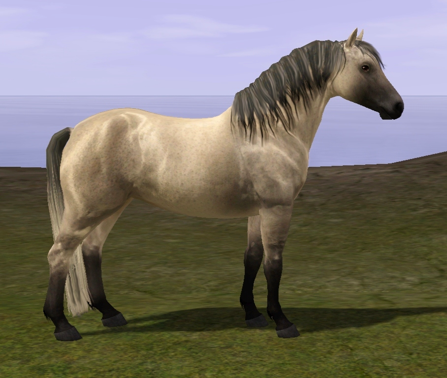 Download sims 3 height slider horse - expolasopa