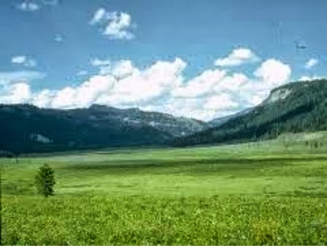 La Pradera: Características