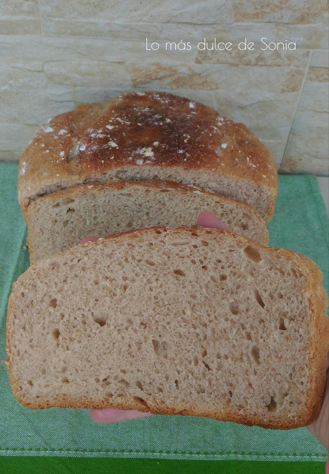 Pan fermentado y horneado olla GMG