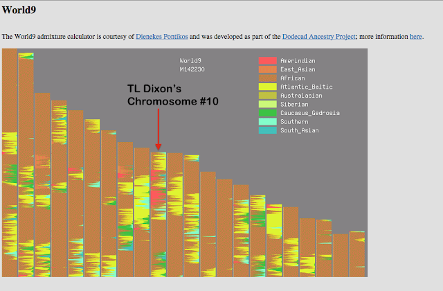 Roots & Recombinant DNA: Ethnicity Chromosome Mapping & Determining ...