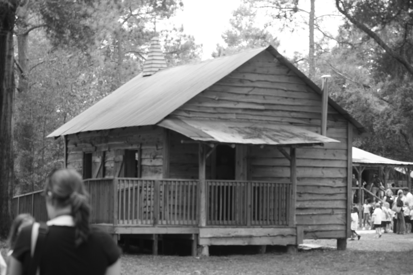 The Blue Whale and Other Travel Tales: Ocali Days at Silver River ...