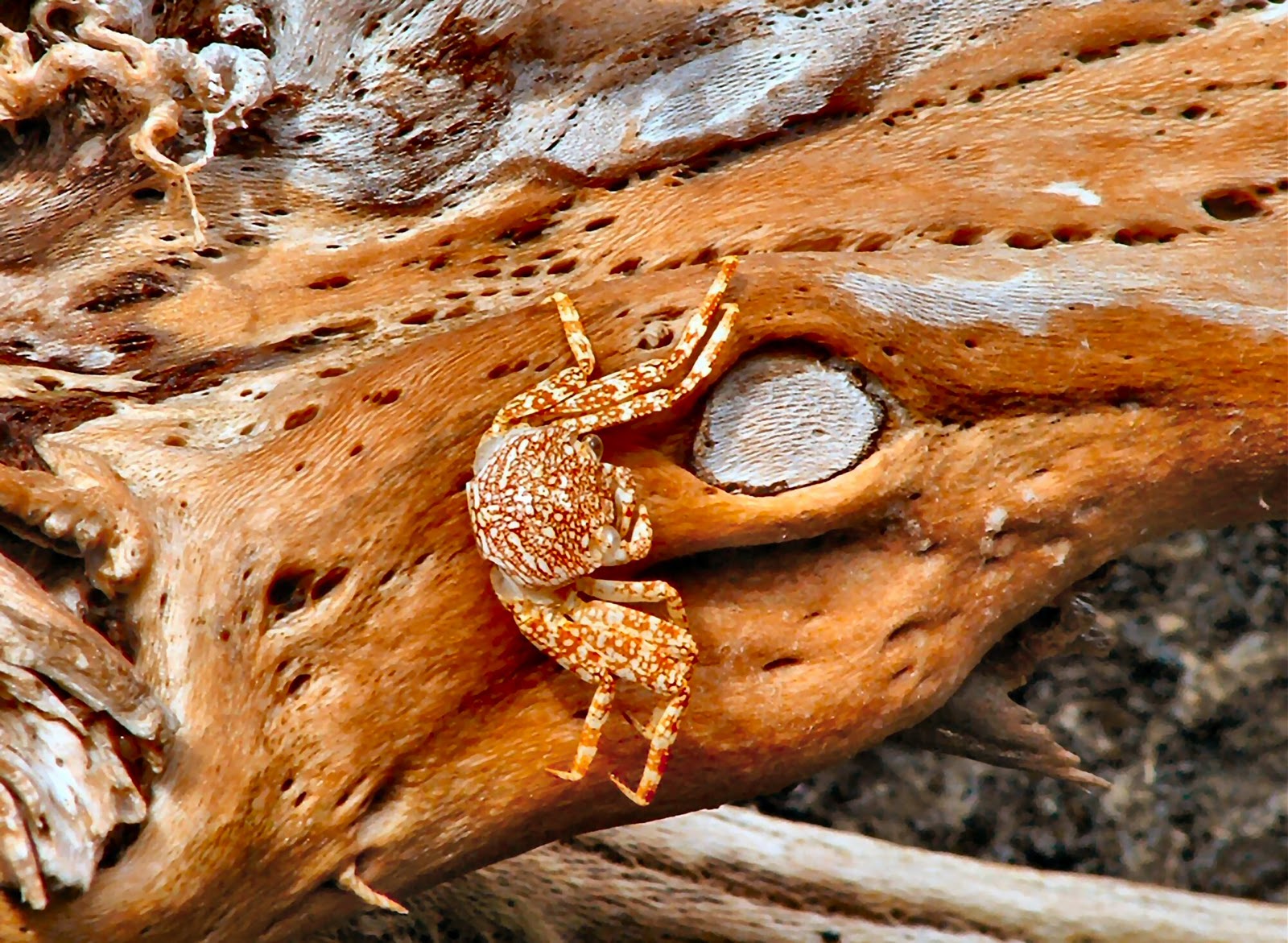 Bending Light: Gallery II ~ Guantanamo Bay above the waves