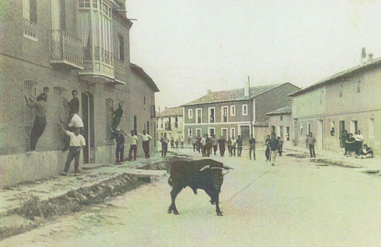 Fotografías Melchor García: Palazuelo de Vedija 2018