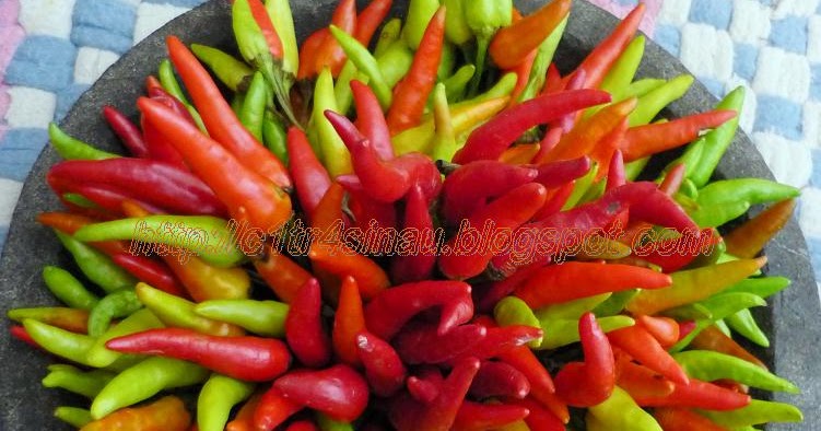 Citra's Home Diary: Sambal Badjak / Sambal Bajak (Indonesian ...