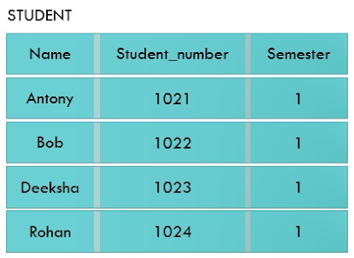 DBMS: Schema, Subschema and Instance