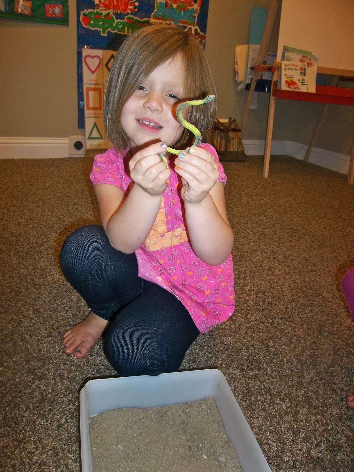 Amazing Action Alphabet: S Day...Class Pet