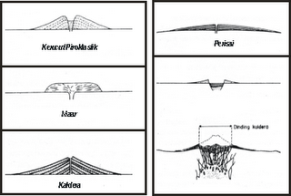 Putroe Intan - Dunia Alam Flora Fauna dan Lingkungan