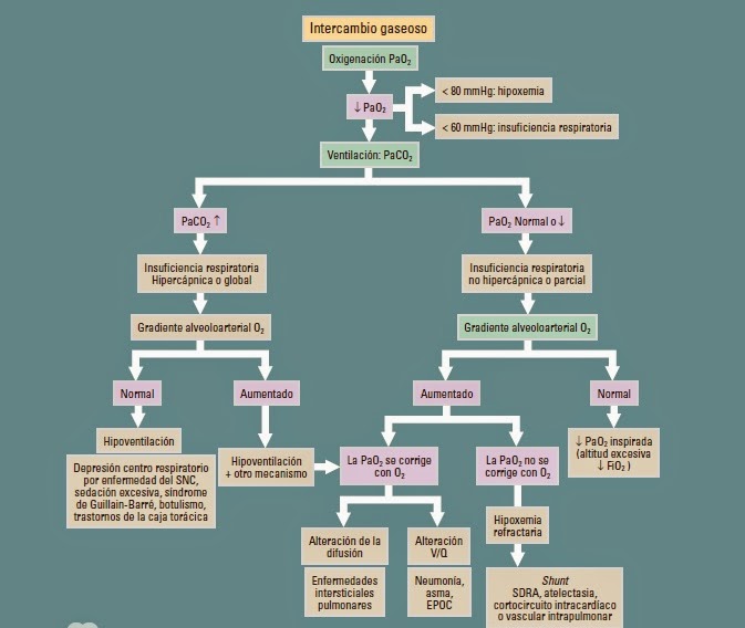 Enfermeria: Indicaciones e interpretación de la gasometría