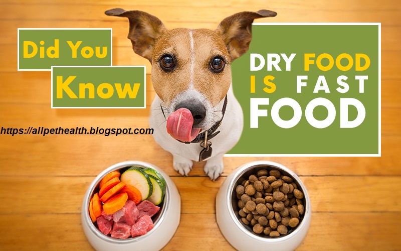 Interesting Facts About Pet Food Companion Animal Nutrition CANINE The Facts On Pet Food interesting-facts-about-pet-food-companion-animal-nutrition-canine-the-facts-on-pet-food