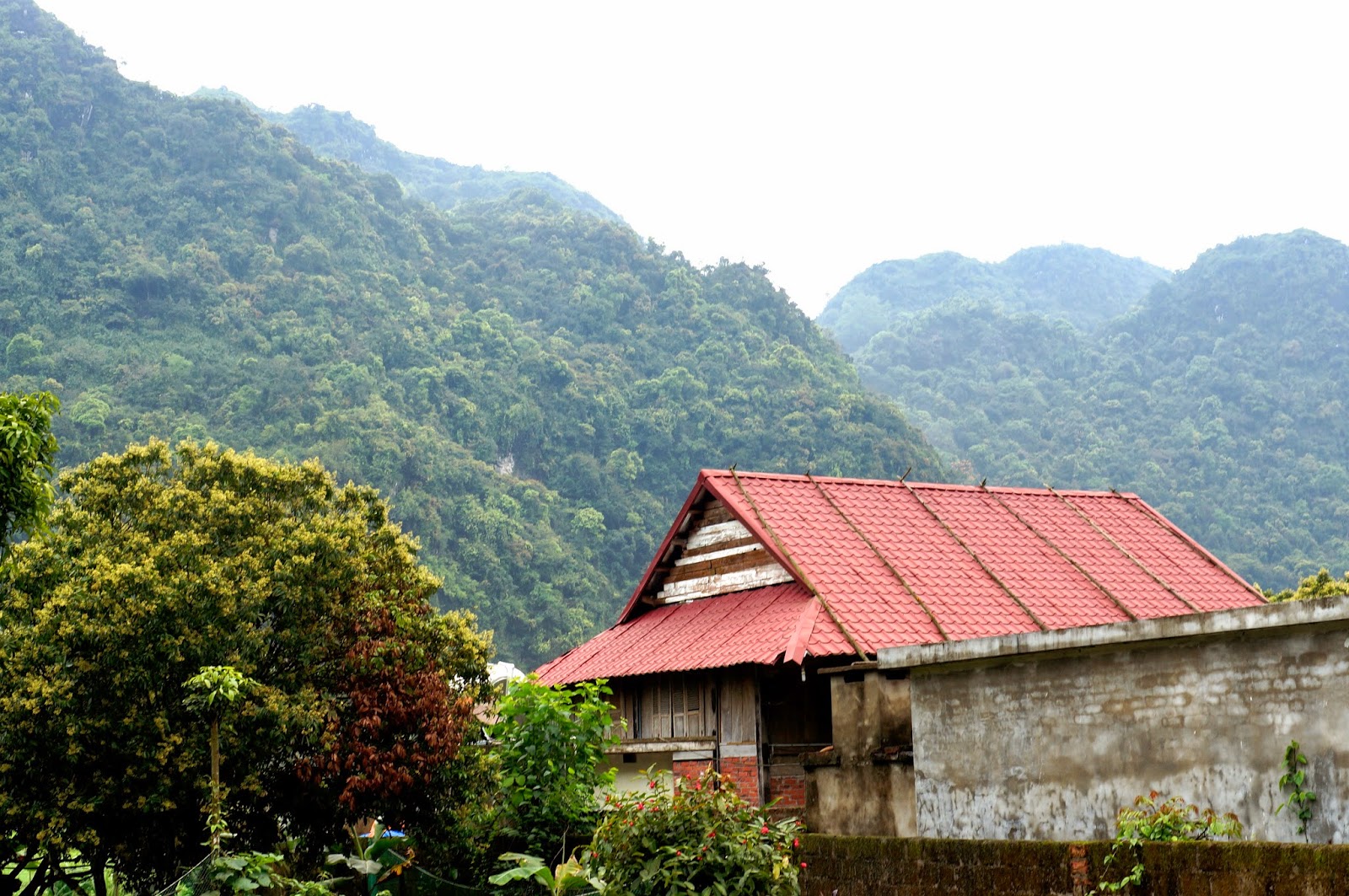 Emtalks: Travel Update 3: Halong Bay and Island Exploring!