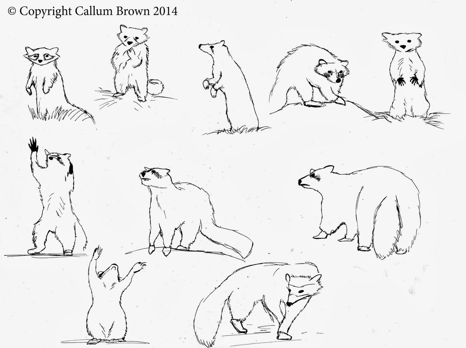 The Flaming Crocodile: Raccoon: Concept art