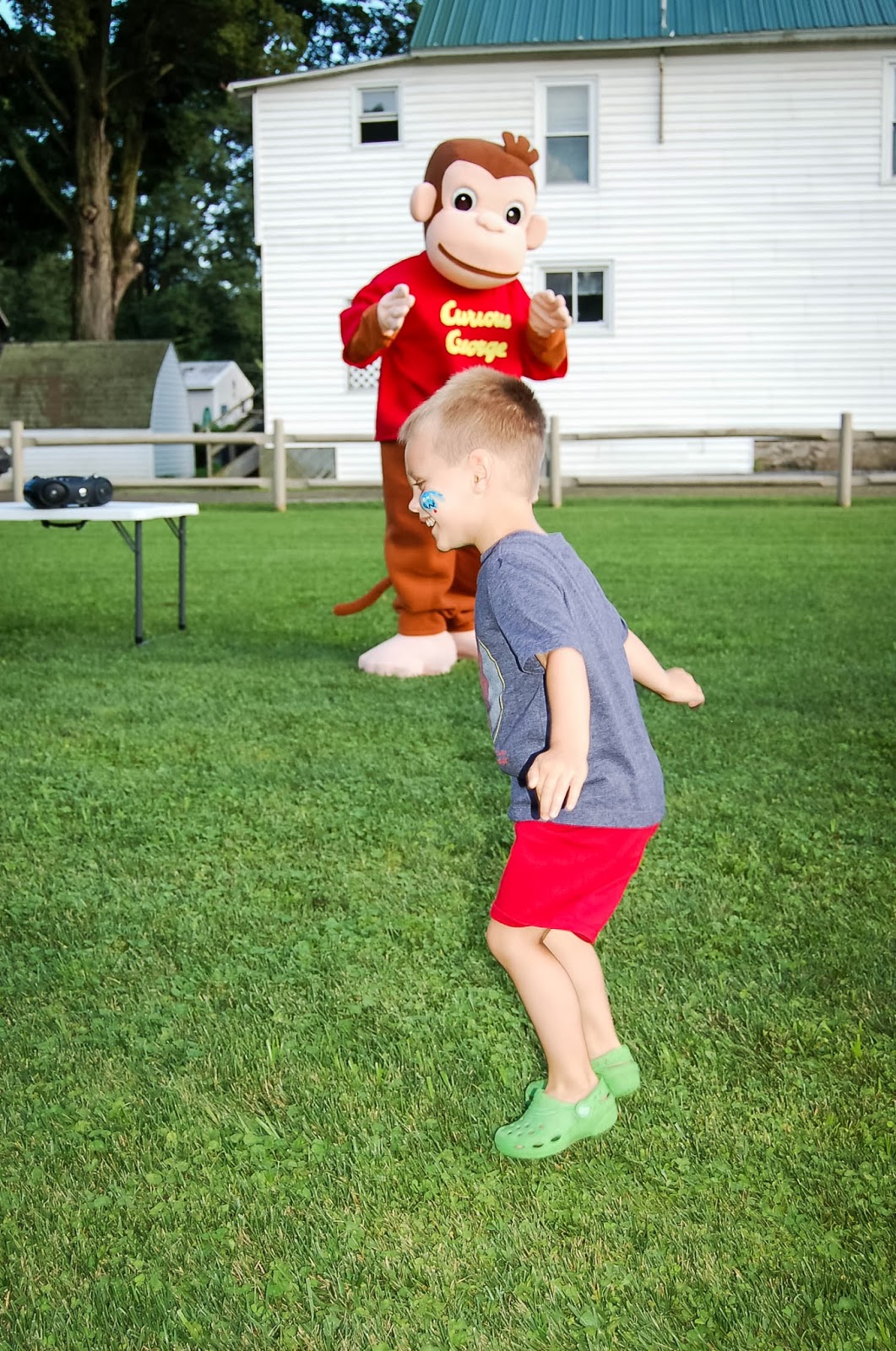 The Buddy Bee Makes Three: Buddy Bee Meets Curious George