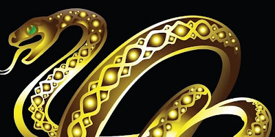 Maištinga siela: 2013 juodosios vandens gyvatės metai - nebetikėkime ...