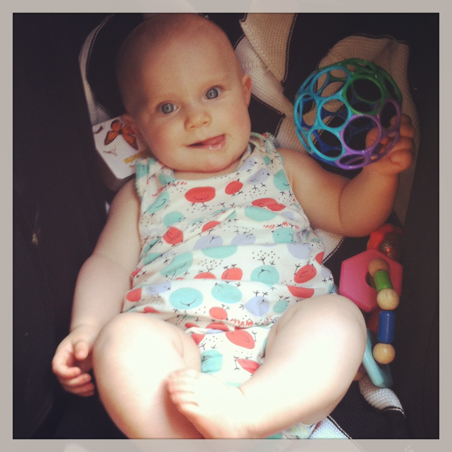 Cutter Double Time: 20 weeks and Twin A is a....