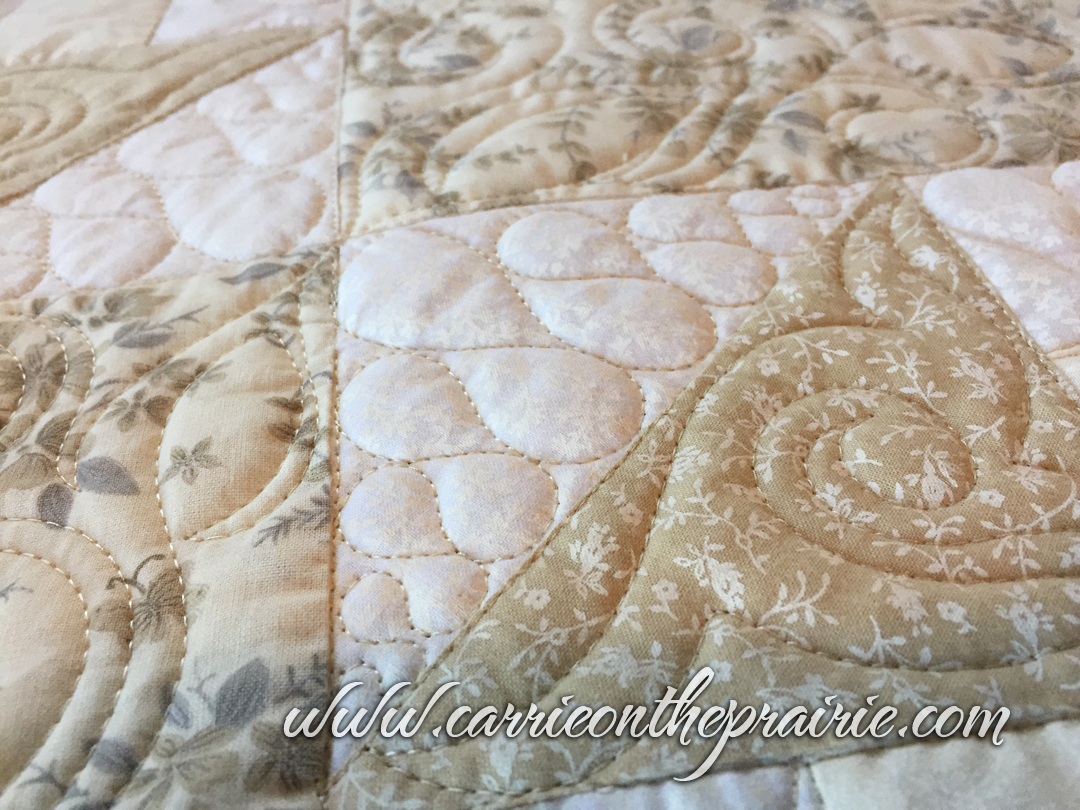 Carrie On The Prairie: Jolene's Tone-On-Tone quilt